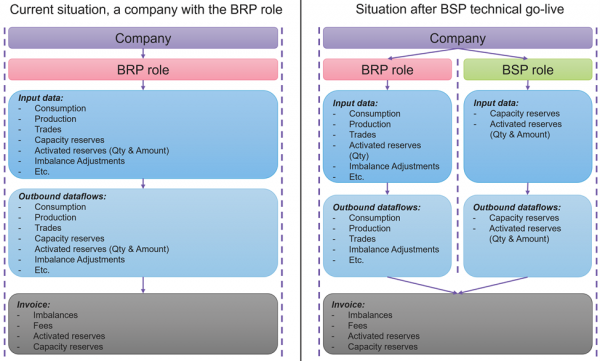 Balancing Service Provider (BSP) model introduction in settlement ...
